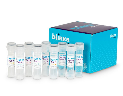 Controlled DNA and RNA Enzymatic Synthesis | Custom TdT Solutions