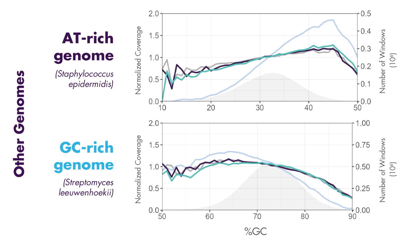 Affordable High-Fidelity Polymerase for Long DNA Amplification | DeCodi ...