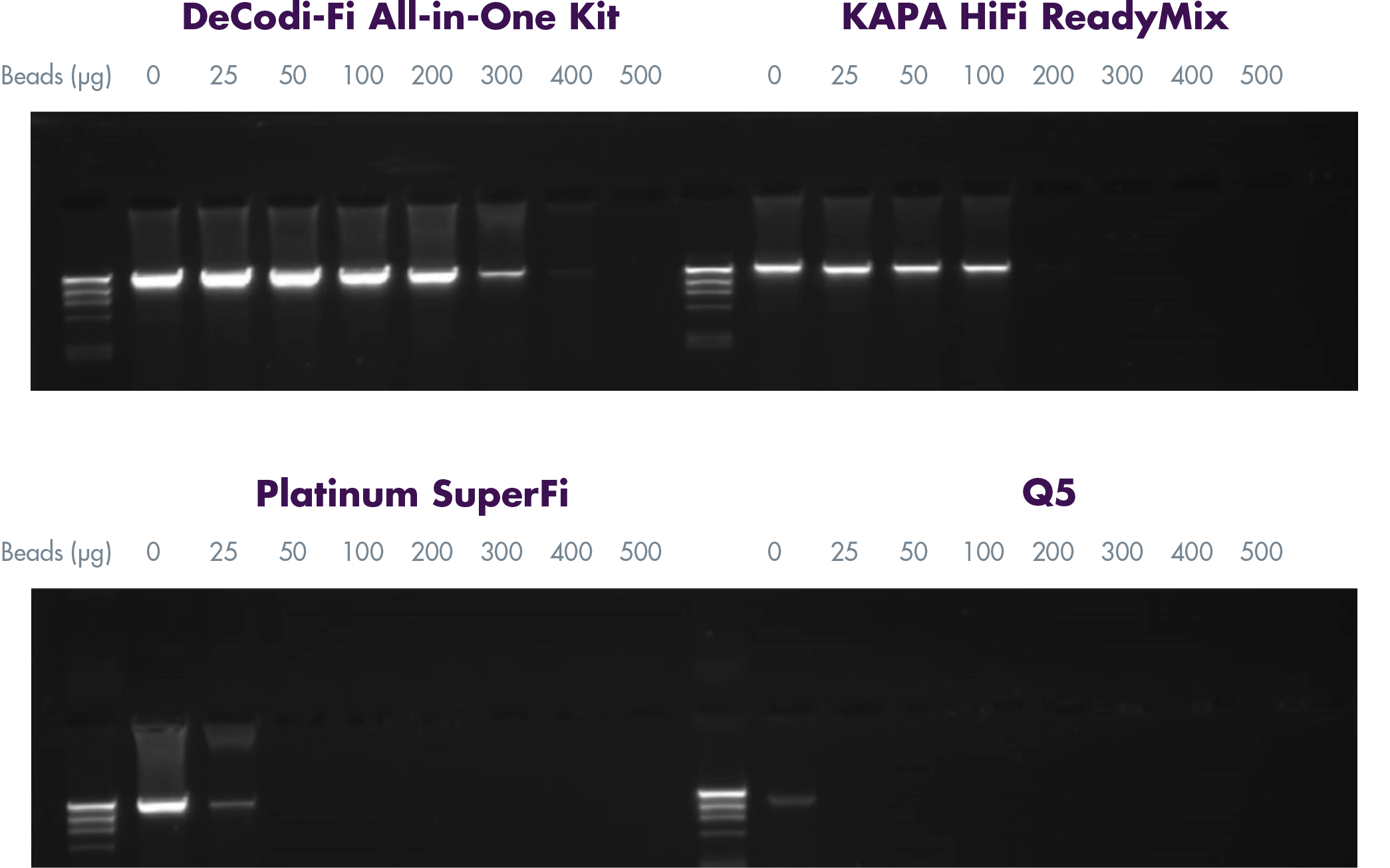 DeCodi-Fi High-Fidelity Polymerase