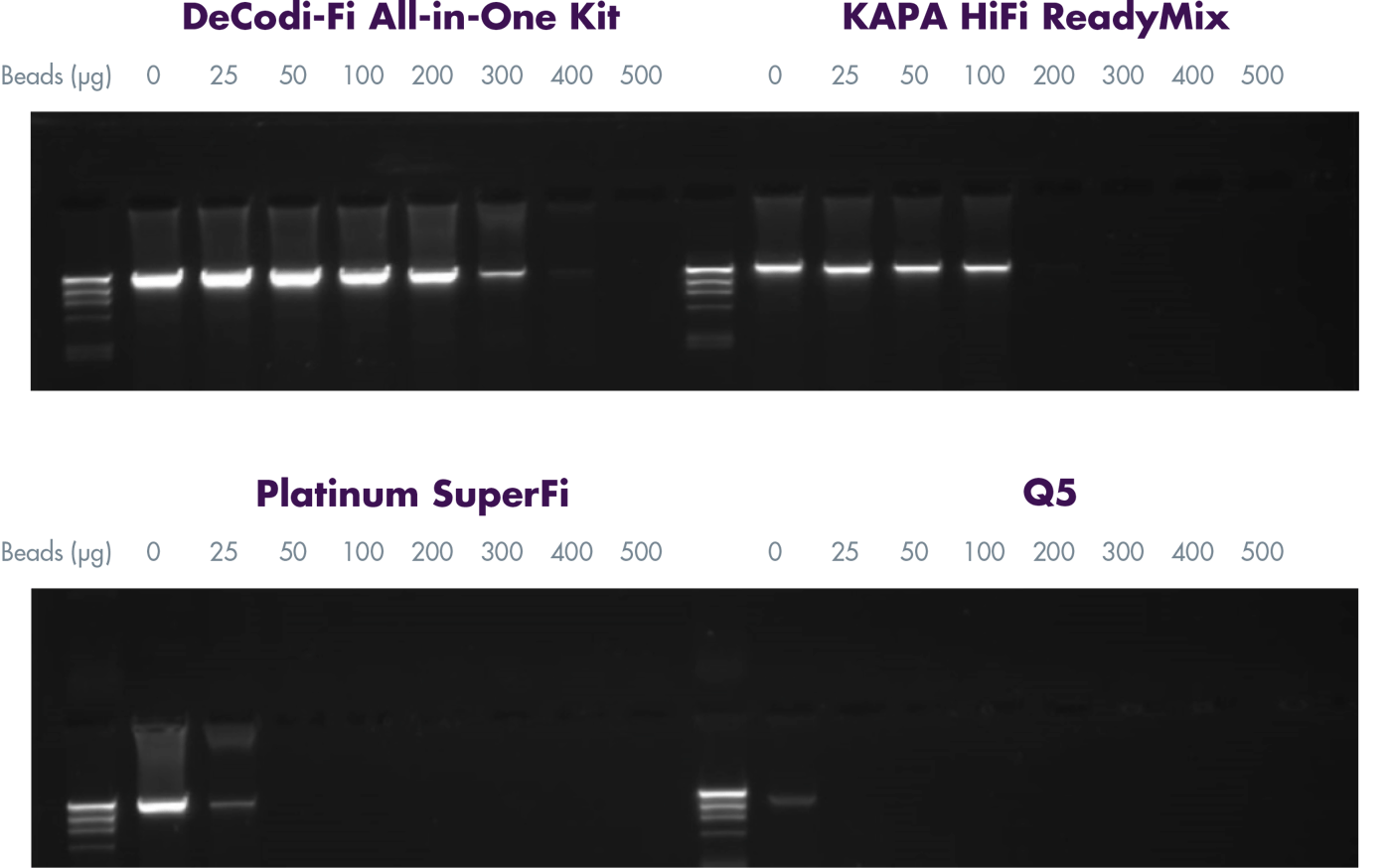 Affordable High-Fidelity Polymerase for Long DNA Amplification | DeCodi ...