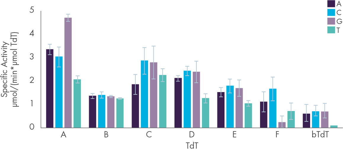 Customized TdT Enzymes for DNA and RNA Synthesis | Accel TdT Program