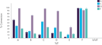 Customized TdT Enzymes for DNA and RNA Synthesis | Accel TdT Program