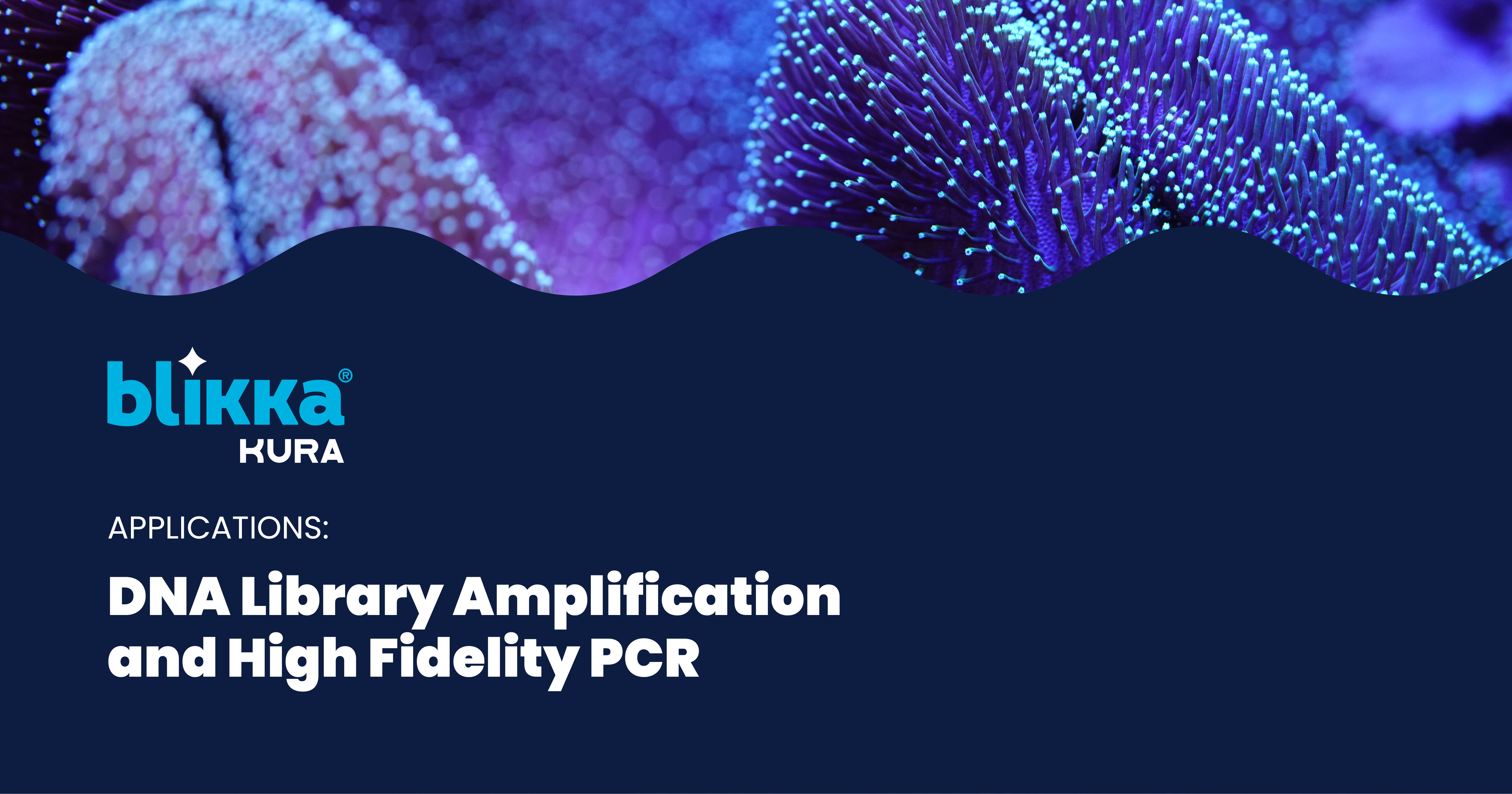 DNA Library Amplification and PCR | High-Fidelity Polymerase